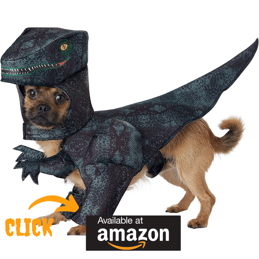 Halloween Costumes For Small Dogs That Will Bring Spooky!