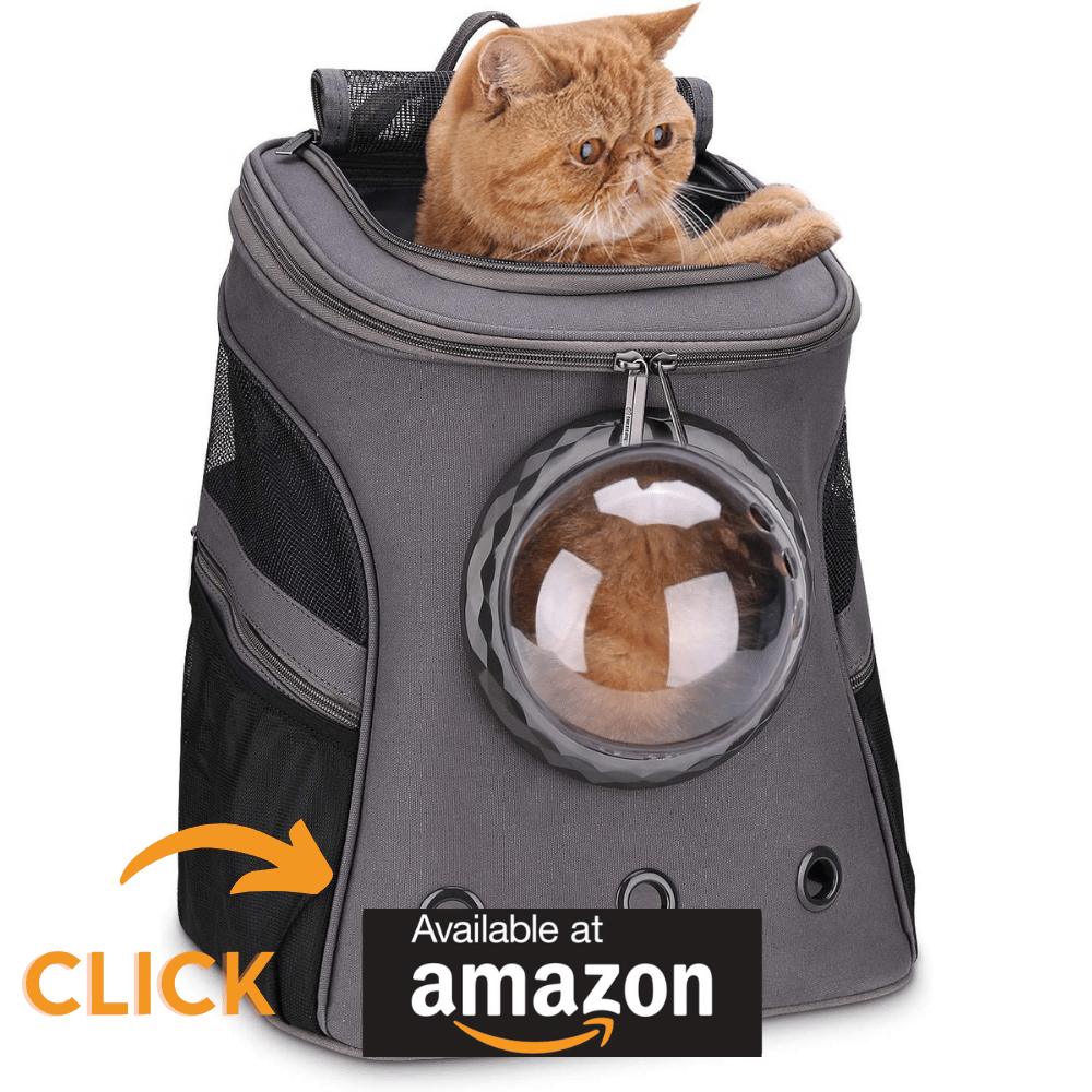 10 Best Cat Backpack For Cat’s Who Need To be Carried!