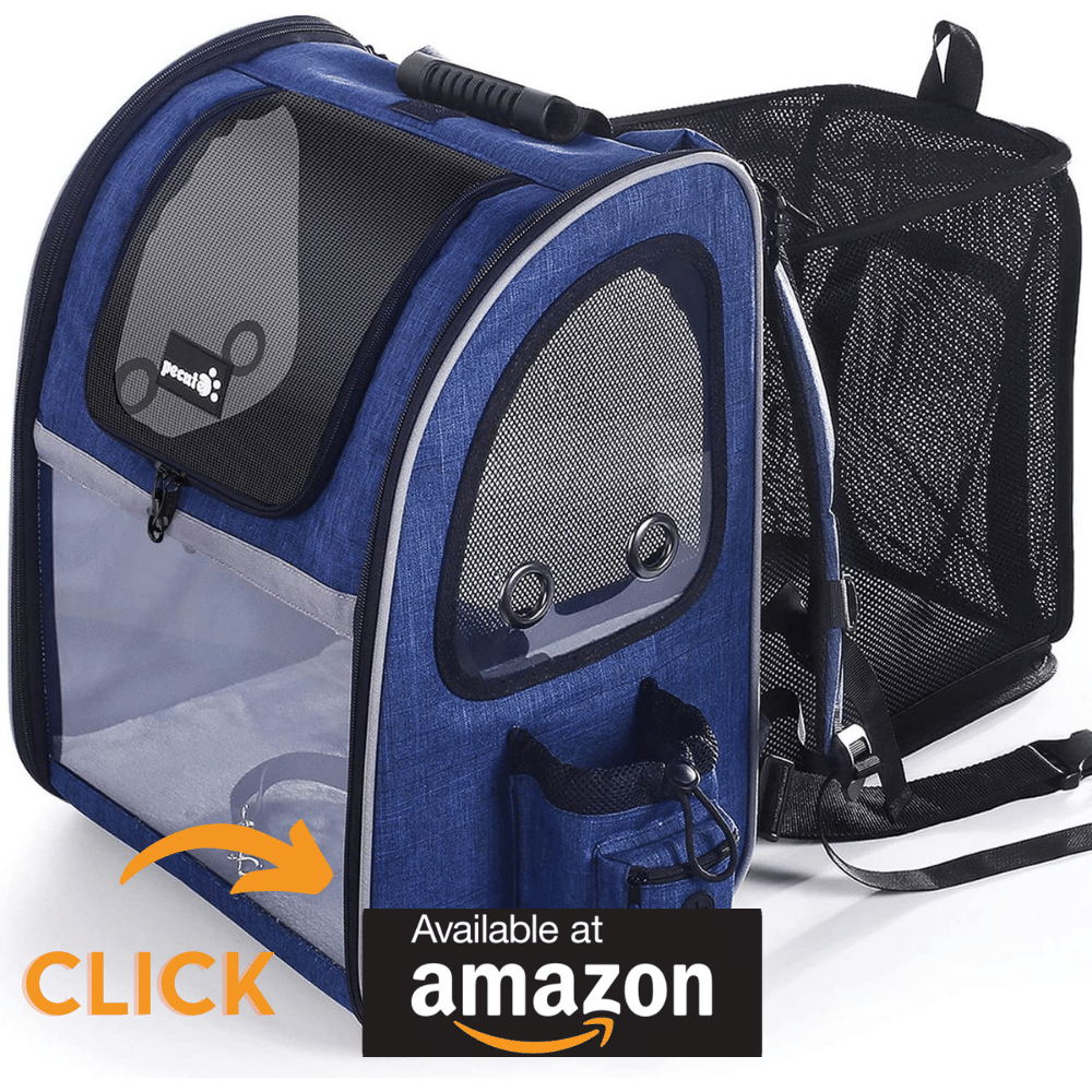 10 Best Cat Backpack For Cat’s Who Need To be Carried!